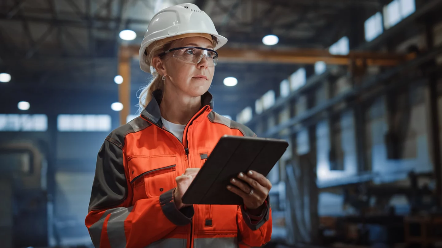 Audit and prepare your organization for ISO/IEC 27001 certification and ...